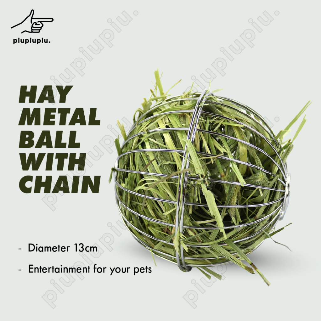 [24HR SHIP] PREMIUM DUST-FREE ALFALFA CHAFF Wheaten Imported Lucerne ...