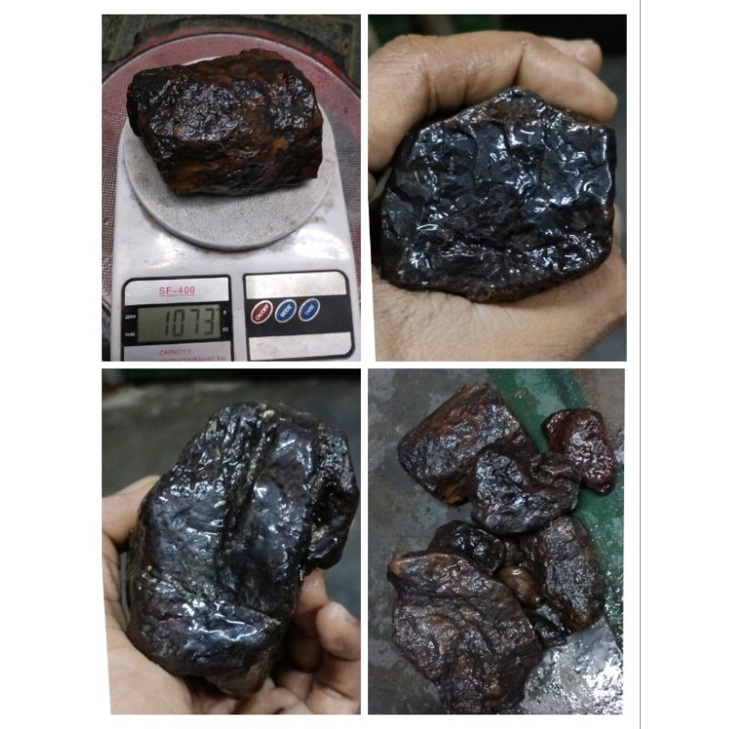 BESI LELEH LAUT@LEKLAI LAUT (RARE ITEM) HARGA UTK 1KG | Shopee Malaysia