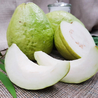 Anak pokok Jambu batu lohan @jambu lohan 1kg | Shopee Malaysia