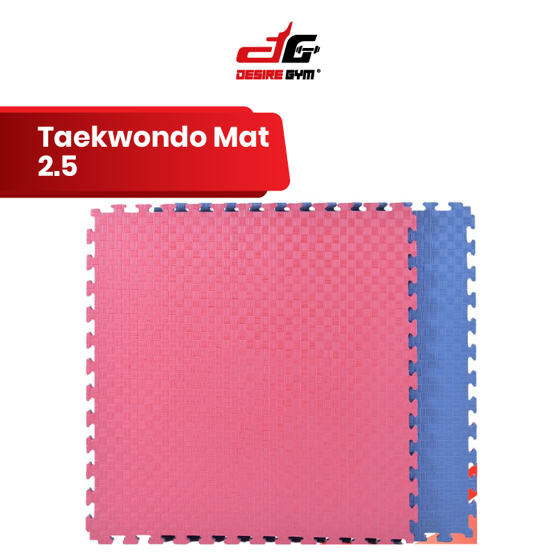 Desire Gym Interlock Workout Mat 2.5cm Thickness Silat Taekwondo Mat ...