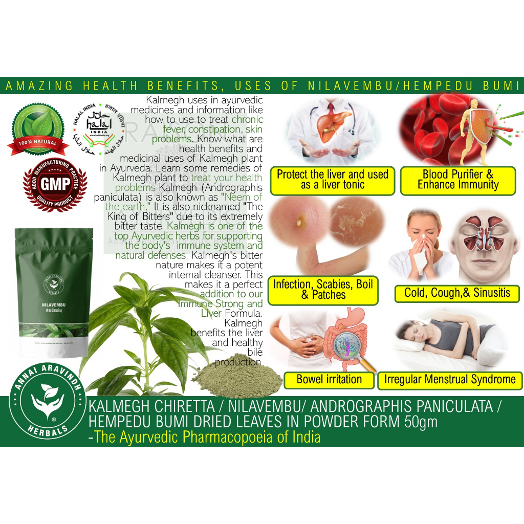 Natural Herbal NILAVEMBU/HEMMPEDU BUMI/KALMEGH/ANDROGRAPHIS PANICULATA ...