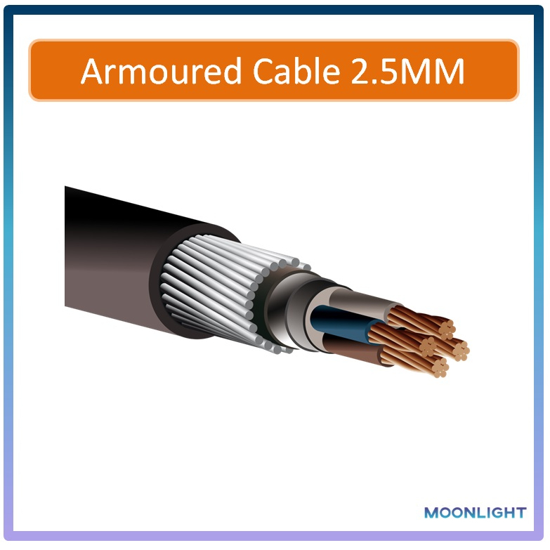 [Meter] Armoured Cable for Auto Gate / Underground Wire 2.5MM x 2 Core ...