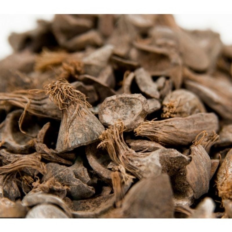 1kg Palm Kernel Shell/ Cangkerang Sawit for Planting | Shopee Malaysia