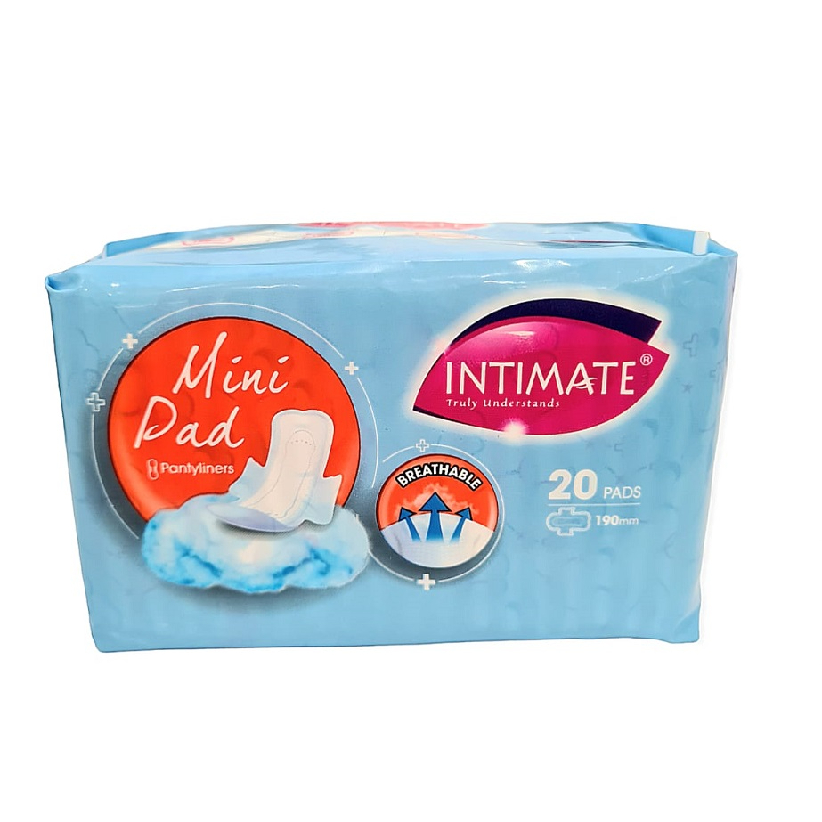 INTIMATE PANTY LINER SLIM (40 + 20 ) LONG 20'S Regular 40's mini pad ...