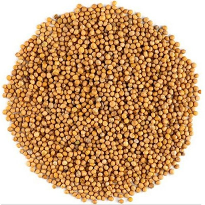 BIJI SAWI KUNING/ YELLOW MUSTARD SEED /VENKADUGU (50G,100G,300G ...