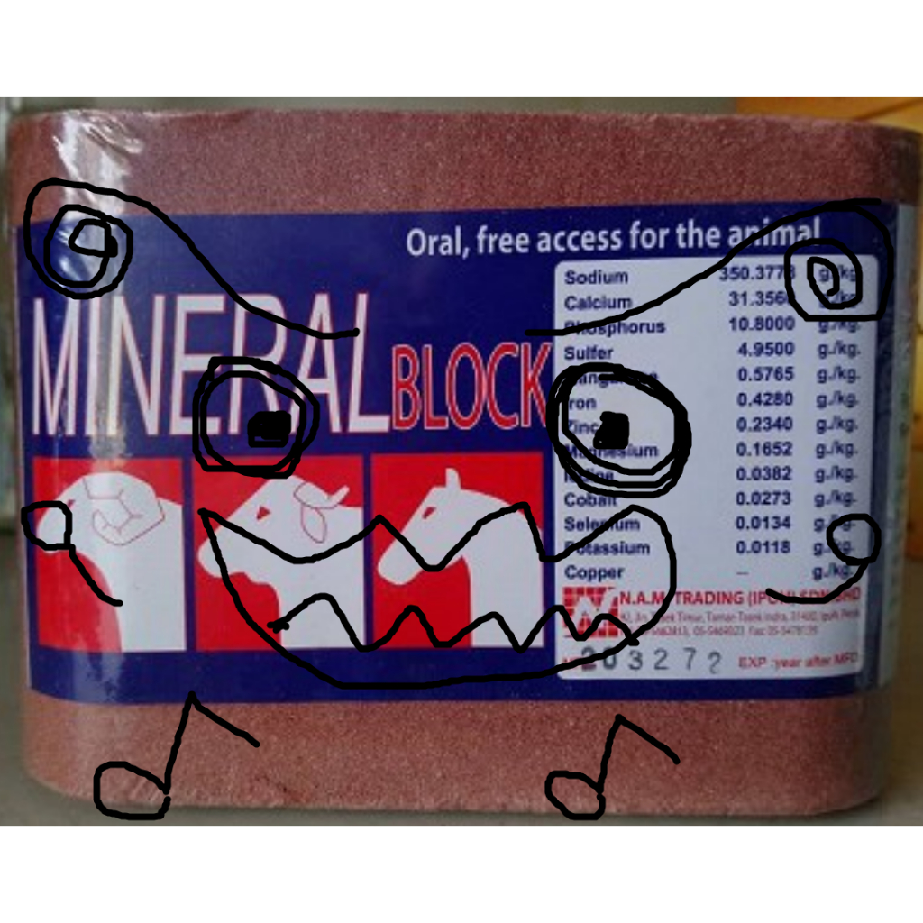 Mineral Block [10KG] Garam Jilat Lembu Kambing Kerbau Kuda | Shopee ...