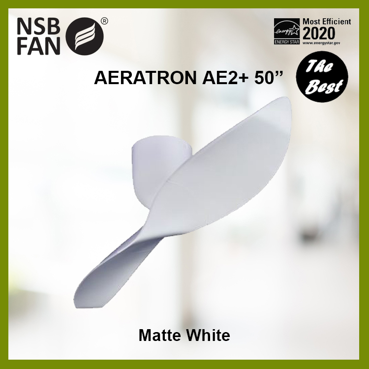 NSB FAN AERATRON AE2+ WIFI READY 50 INCH DC MOTOR 2 BLADE REMOTE ...