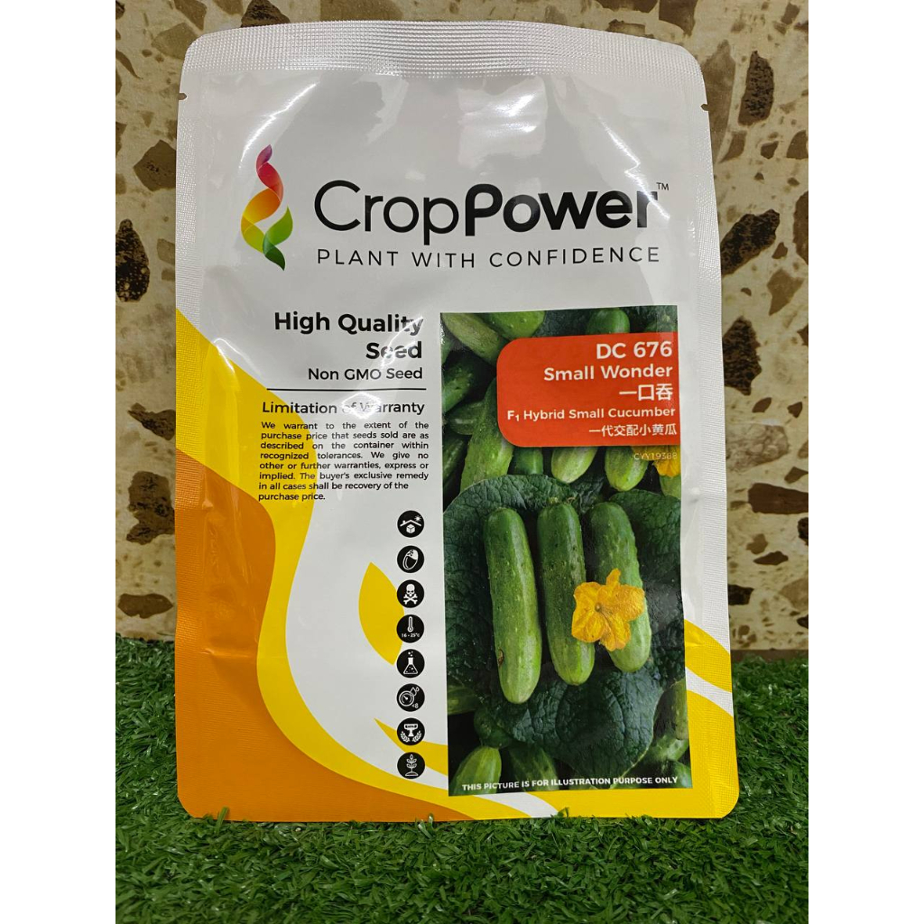 Benih Timun Baby/Cucumber Hybrid F1 DC 676 Small Wonder CROP POWER ...
