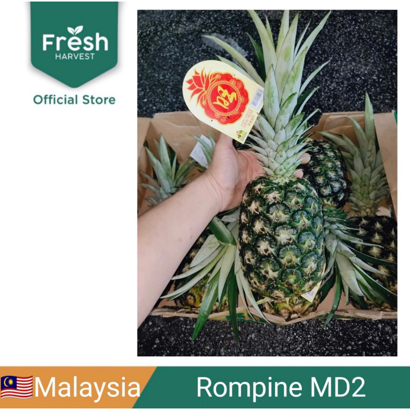 Rompine MD2 Pineapple 黄梨 Nanas | Shopee Malaysia