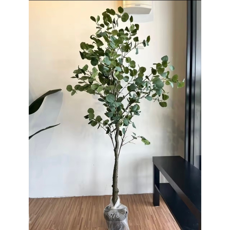 Pokok Viral-artificial Premium Olive Tree & Eucalyptus Tree PLANT ...