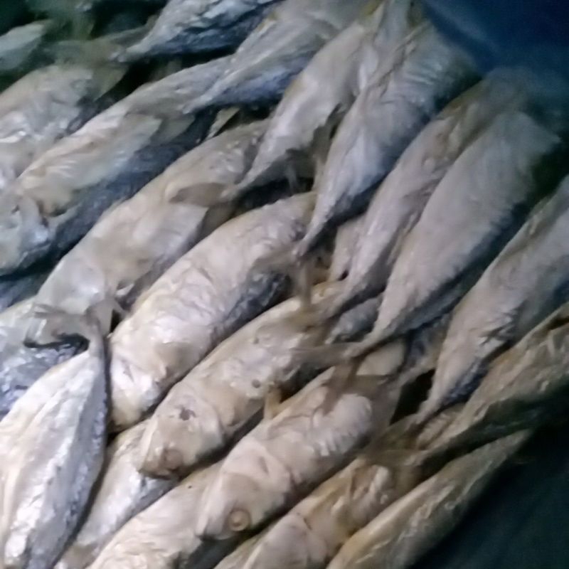 ikan asin gembung 1 kg | Shopee Malaysia