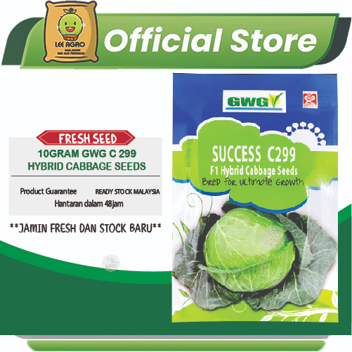 10GRAM GWG SUCCESS C299 F1 HYBRID CABBAGE SEEDS/BENIH KOBIS BULAT/GREEN ...
