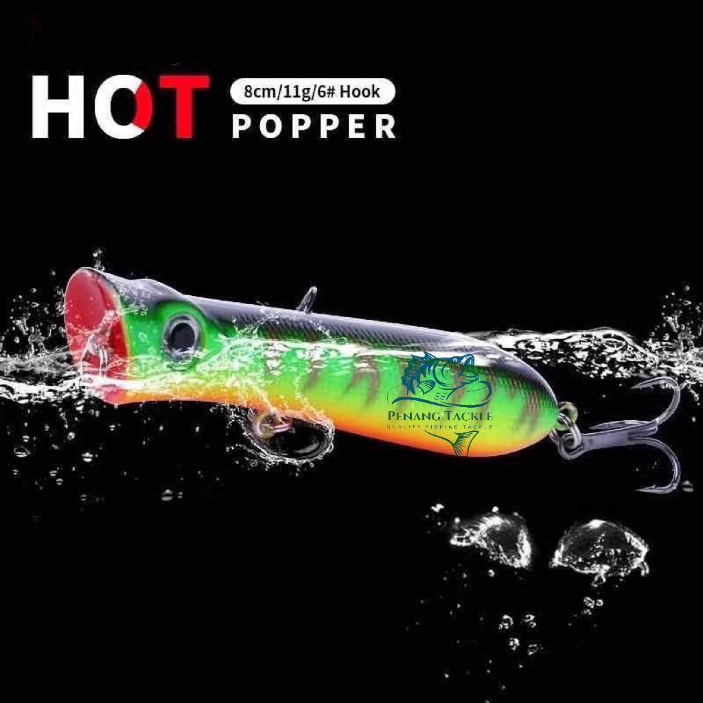 🇲🇾 Sea Floating Popper Fishing Lures Trolling Top-water 80mm / 10.7g ...