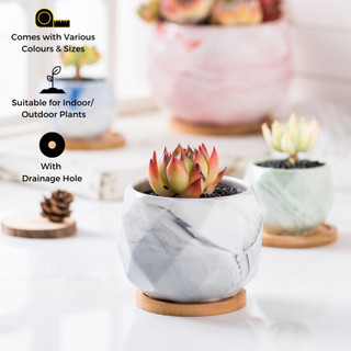 Aesthetic Ceramic Pot Marble Series Faceted Colorful For Succulent ...
