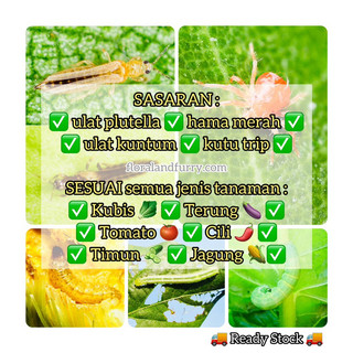 1L LINOTSU 10SC Chlorfenapyr 10% Racun Serangga Hama Merah Ulat ...