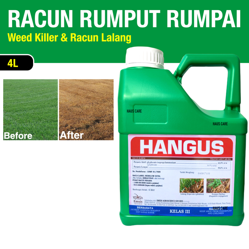 4L HANGUS Glyphosate 41% Weed Killer (Racun Rumput Lalang/Ubat rumput ...
