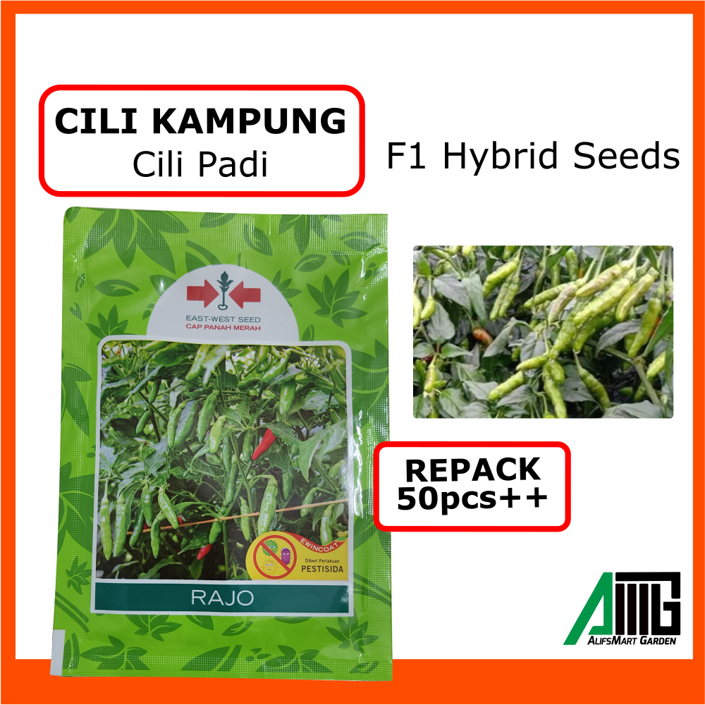 RAJO CILI KAMPUNG Cili Padi Hybrid Cap Panah Merah | Shopee Malaysia