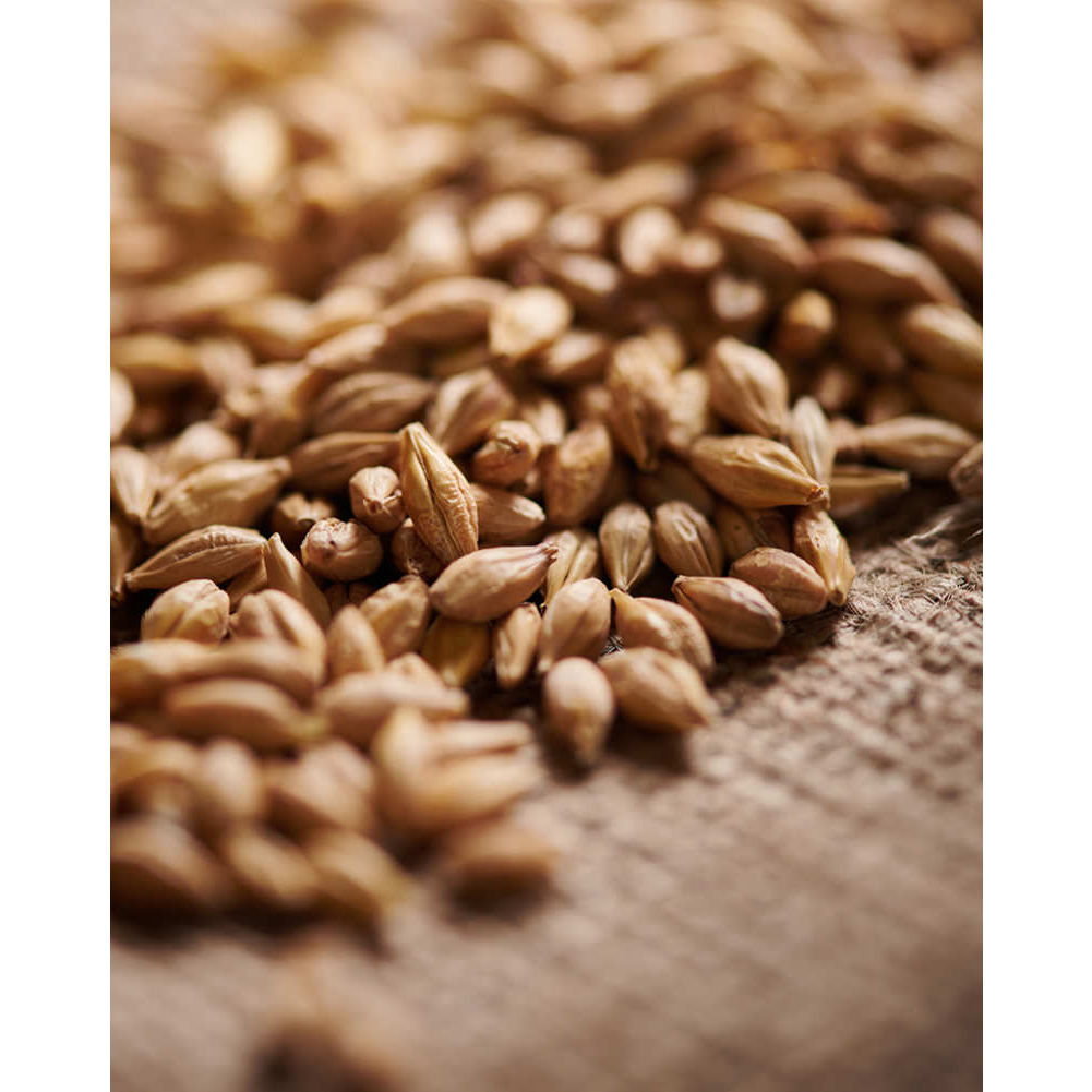 Weyermann - ACIDULATED MALT (100G/BAG) | Shopee Malaysia