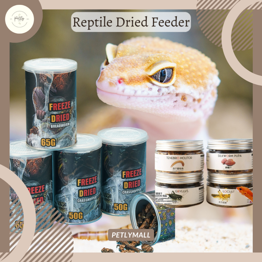 [PetlyMall] Dried Feeder Mealworm Locust Cricket Silkworm Pupa Protein ...