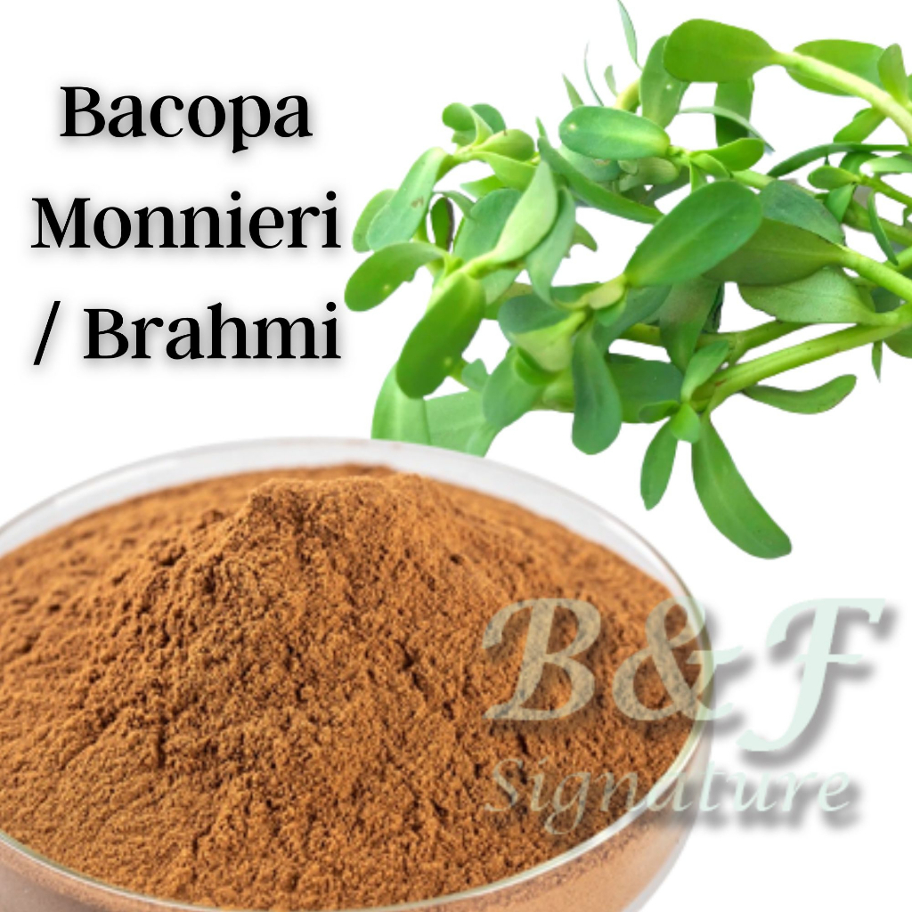 Bacopa Monnieri Powder Extract 30g - 100g Brahmi 巴氏菌 Beremi Powder ...