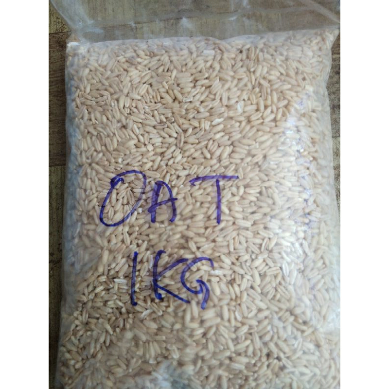 bird oat -1kg(makanan penggemuk burung) | Shopee Malaysia