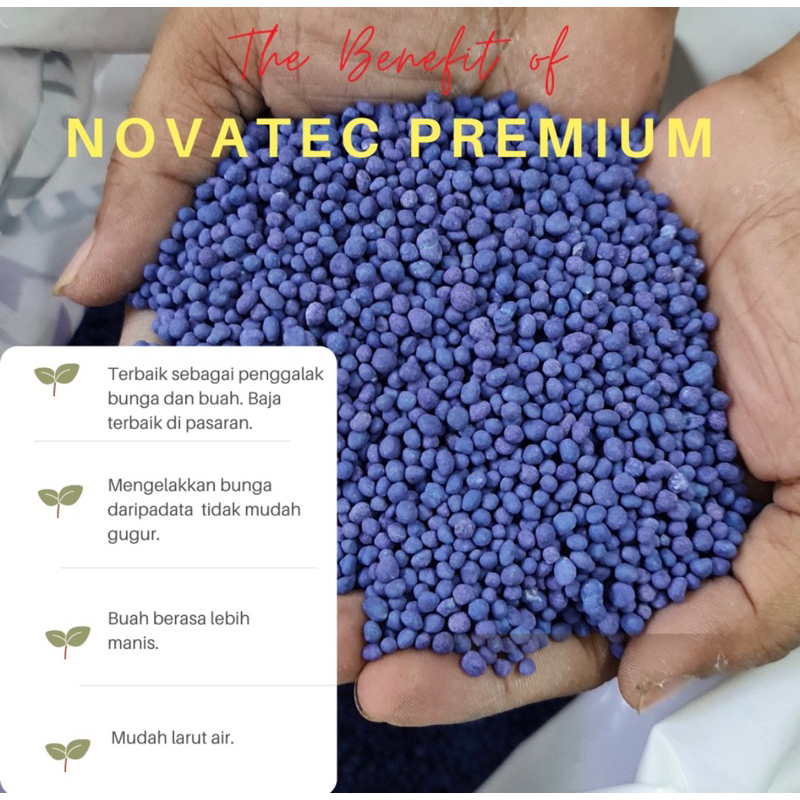 BAJA BUAH DAN POKOK BUNGA NOVATEC PREMIUM 500G/1 KG NPK 15-3-20+10S+TE ...