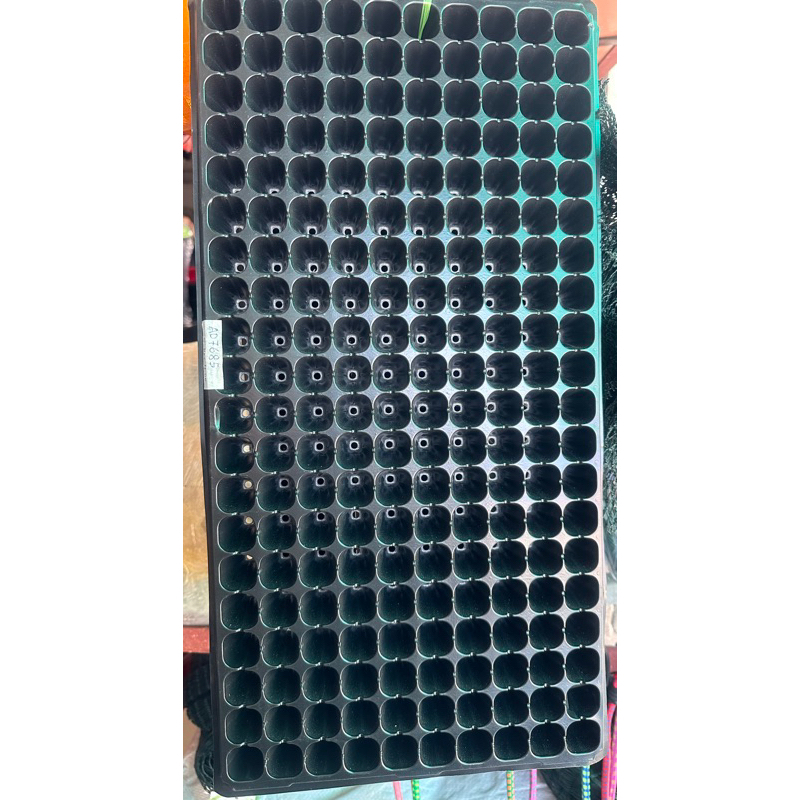 10 pcs tray plastik semaian biji tanaman 200, 105 dan 50 lobang ...