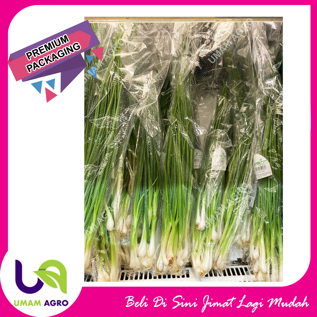 Plastik Buah Sayur Bunga BOPP Fruit and Vegetable Transparent Packaging ...