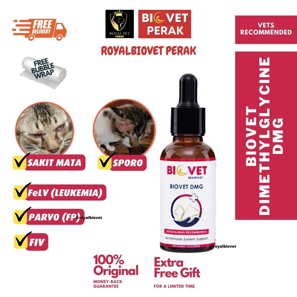 [FREE SHIPPING] BIOVET DMG VITAMIN KUCING UNTUK SAKIT KRONIK FIV VIRUS PARVO LUKA FUNGUS SPORO ...