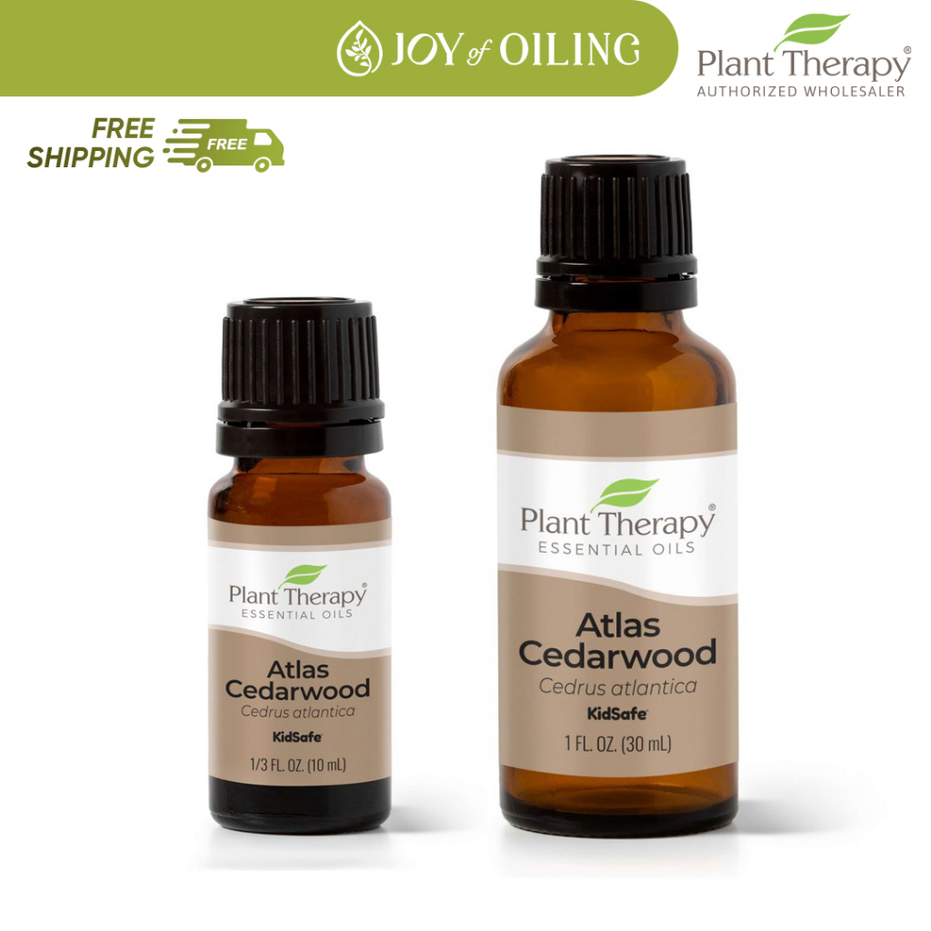 PLANT THERAPY Atlas Cedarwood Essential Oil (10ml/30ml) | Shopee Malaysia