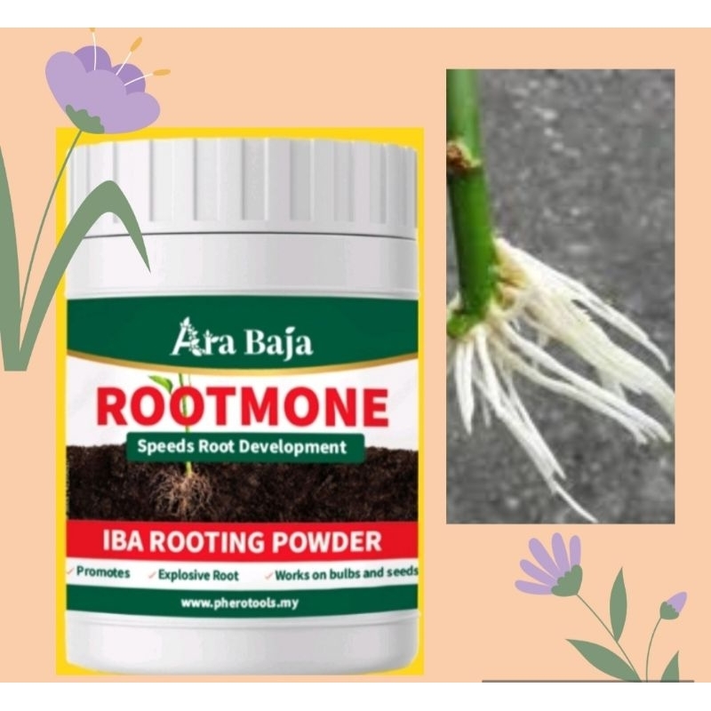 IBA ROOTING POWDER(Repacking Speed Root Development free extra 10g ...