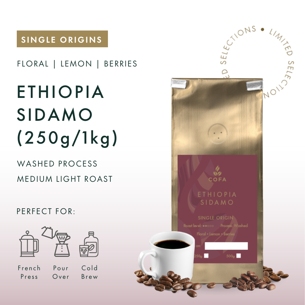 COFA Ethiopia Sidamo Medium Light Roast Washed Process Single Origin ...