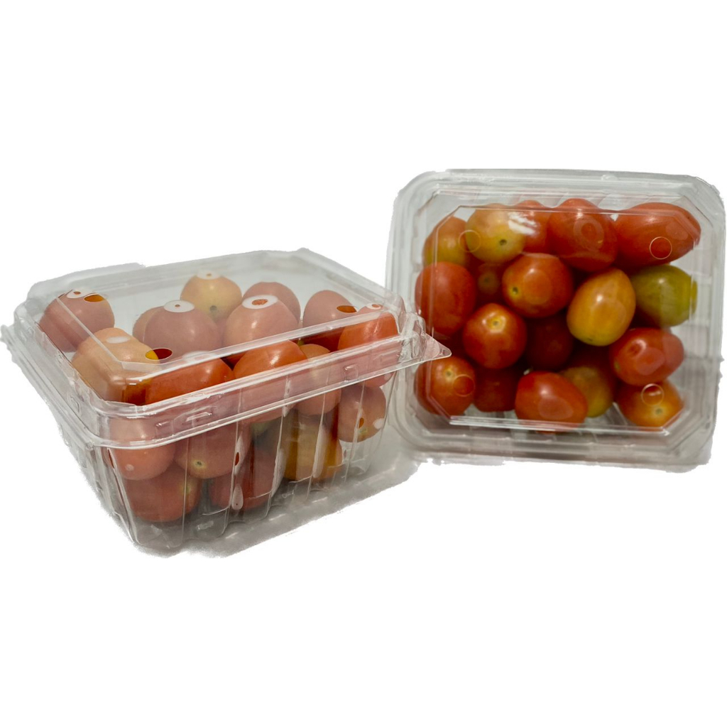 TPP Plastic Tray/ Clam Shell/ Disposable Tray PET - TPPCS-4 (Clear ...
