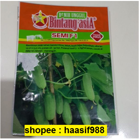 💥READY STOCK💥 SEMI F1 TIMUN MINI KING / KING CUCUMBER Repack 16 Biji ...