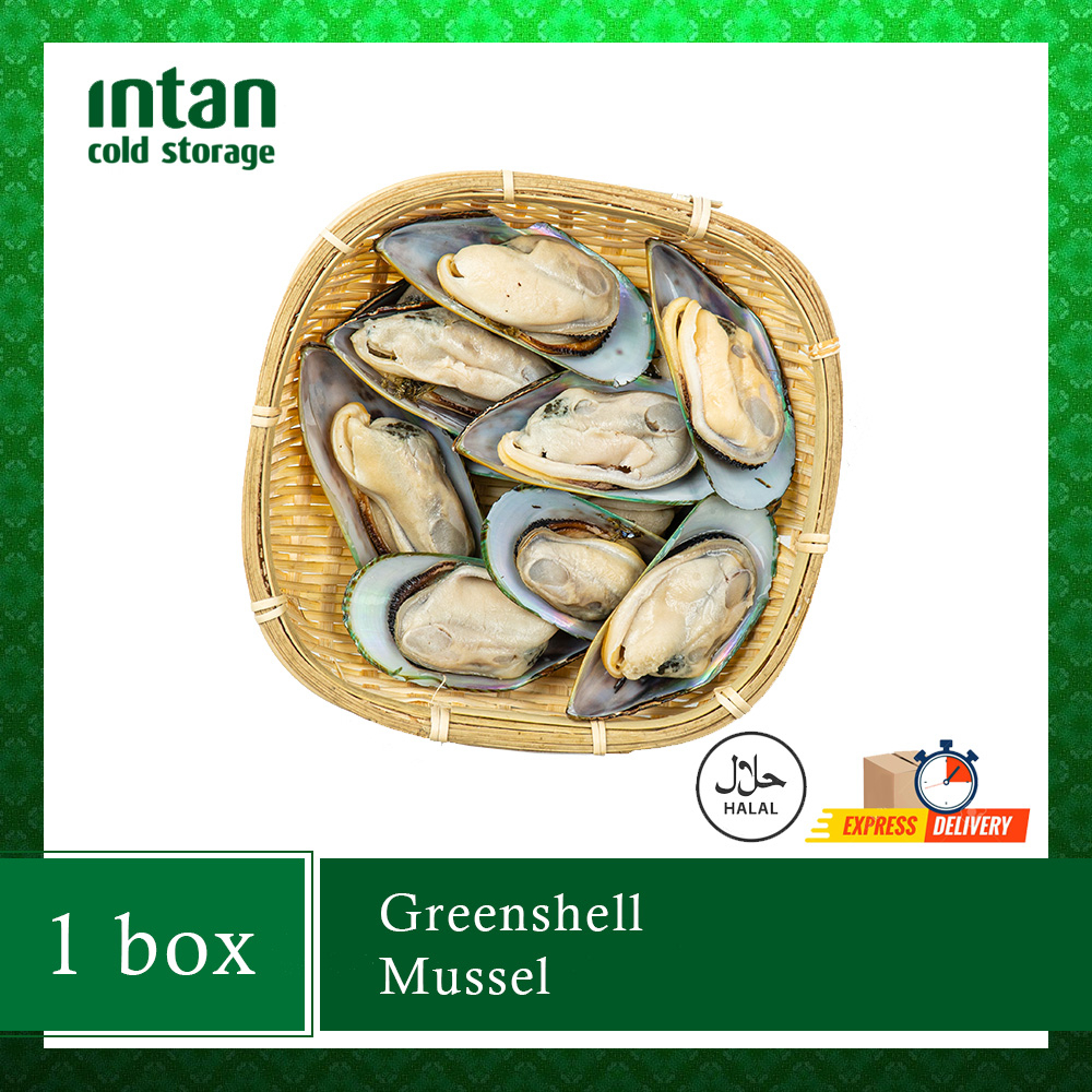 NZ Greenshell Mussel (per box) | Shopee Malaysia