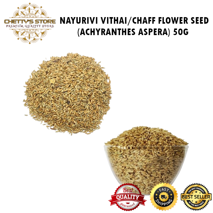 (IMPORTED INDIA) CHAFF FLOWER SEED / ACHYRANTHES ASPERA / NAYURUVI ...
