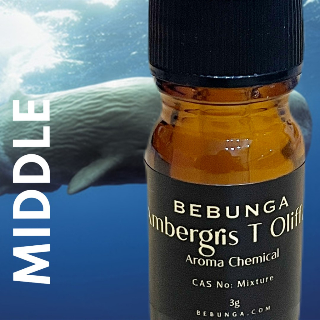 Ambergris T Oliffac Aroma Chemical for perfumery 3g - 15ml | Shopee ...