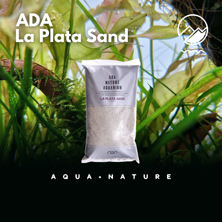 ADA La Plata Natural Sand (500G/1KG/2KG) (Whitish Colour) (Aquarium ...