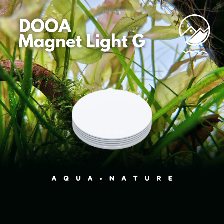 DOOA Magnet Light G (10W, USB Type A) [Terrarium Lighting] | Shopee ...