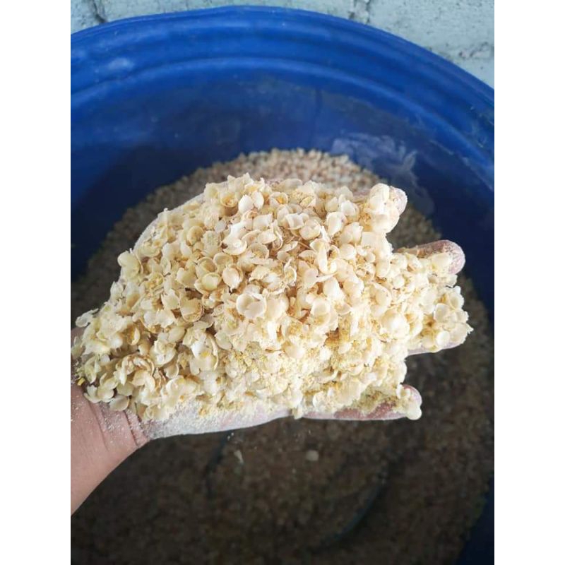 kulit kacang soya high gred 10 kg | Shopee Malaysia