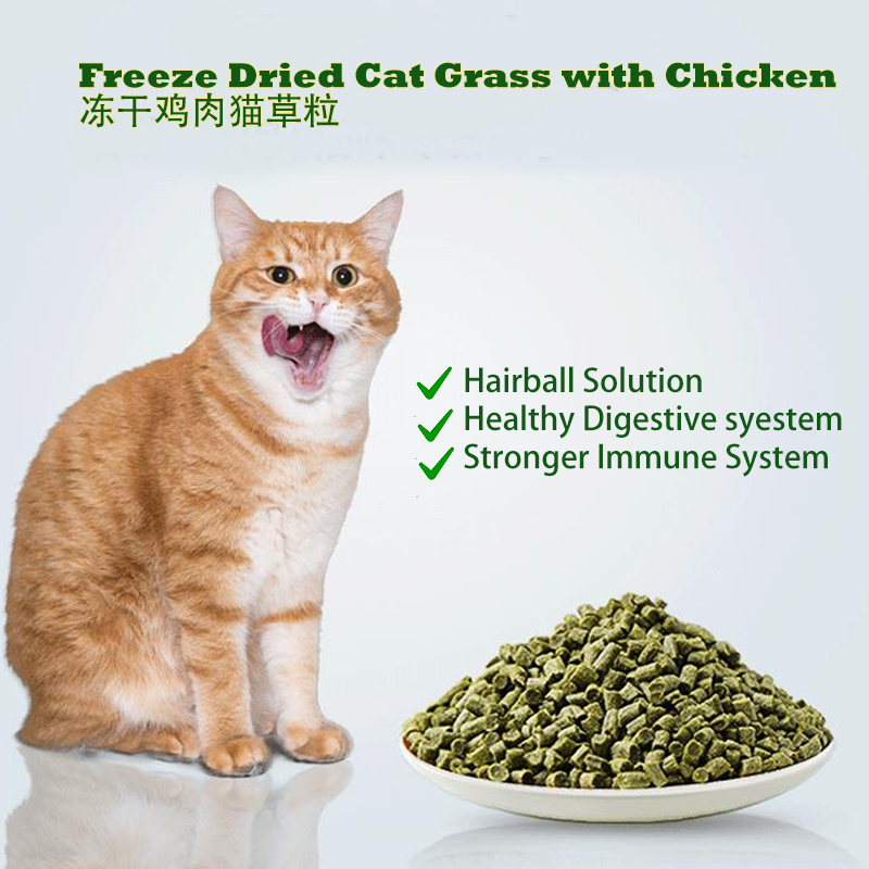Rumbut Kucing dengan Isi Ayam, Ikan Salmon and Daging lembu healthy ...