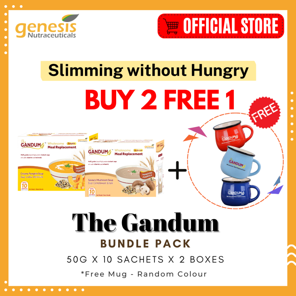 THE GANDUM Meal Replacement Bundle Pack | Low Calories | High Protein ...