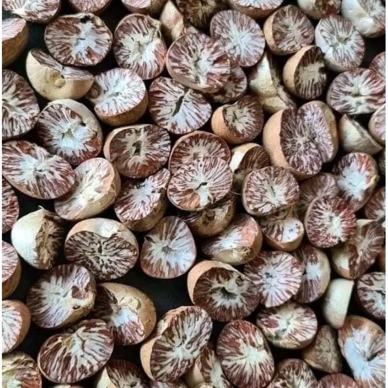 Buah pinang kering 1/2 kg(500g | Shopee Malaysia