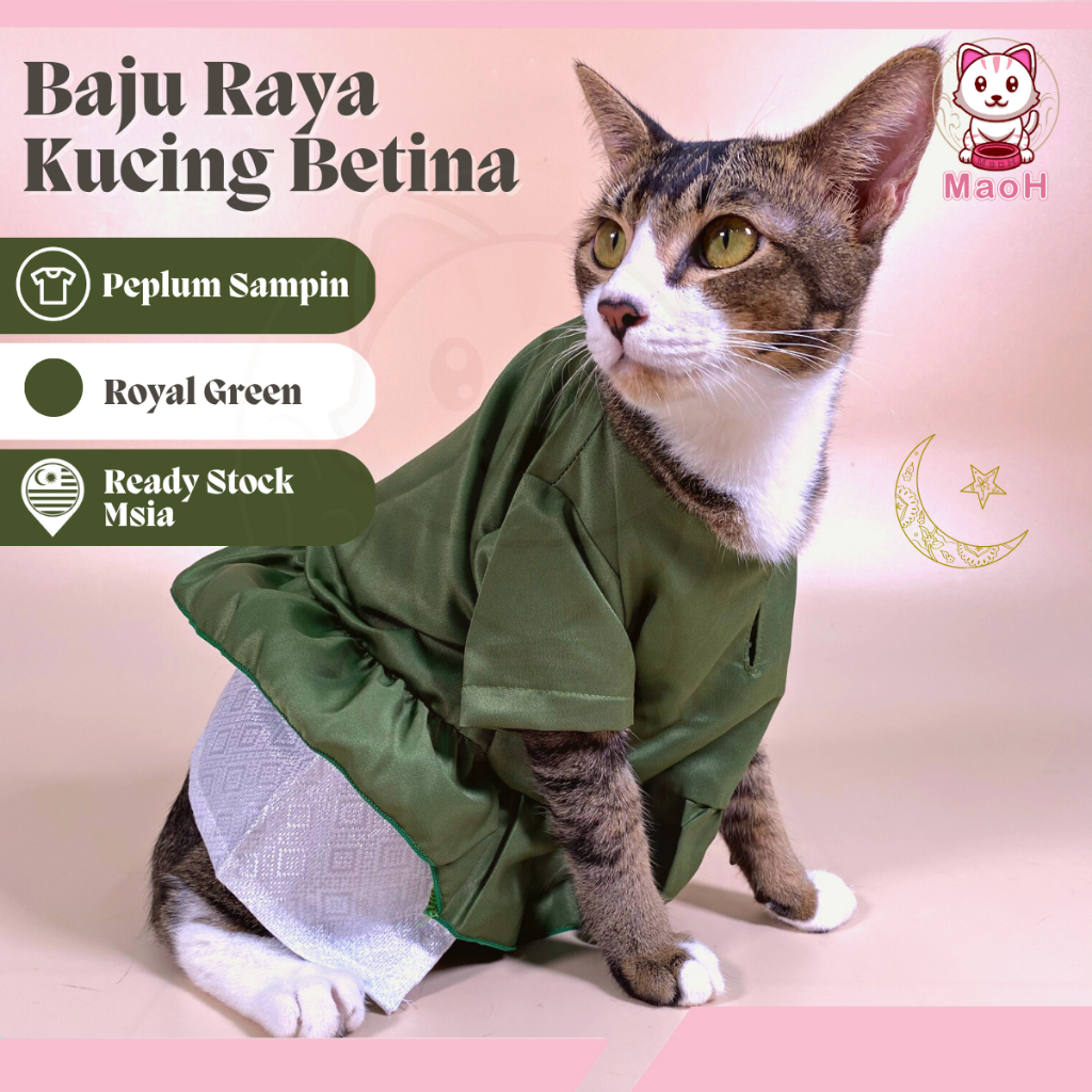 MaoH Baju Raya Kucing Betina (Royal Green) Peplum 2024 Ready Stock Cat ...