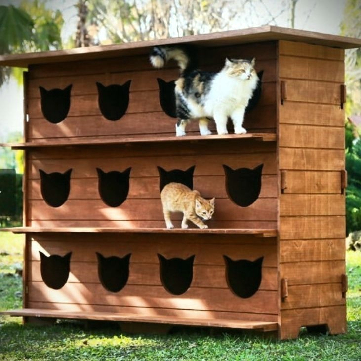 Rain-proof Cat Nest Outdoor Solid Wood Cat House Cats Condo for ...