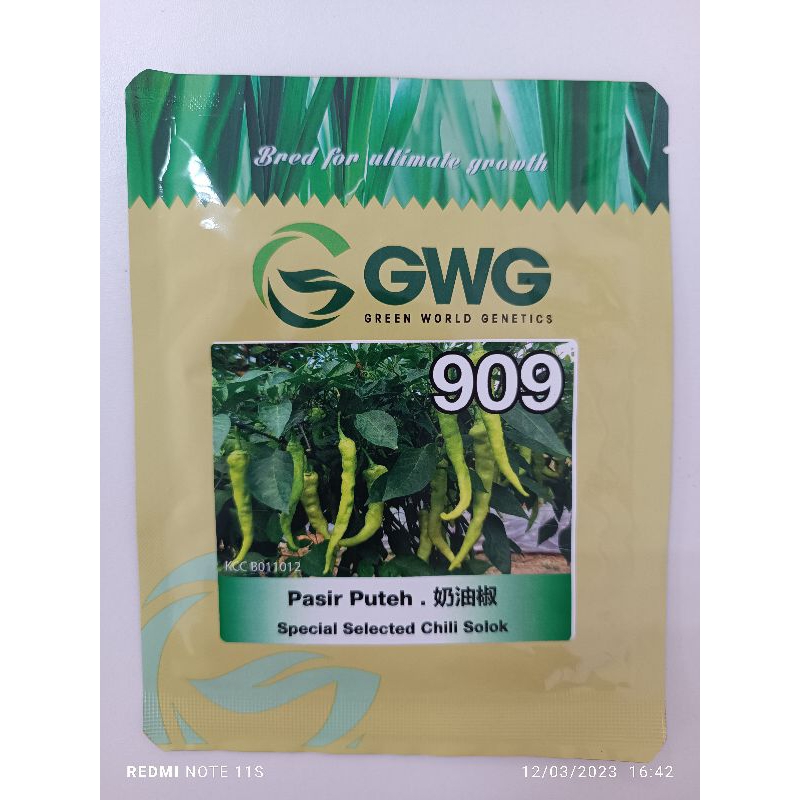 Benih Lada Solok Taming Sari 909 Green World Genetics (GWG) | Shopee ...