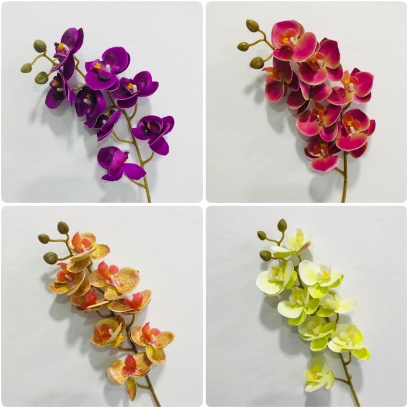 Orkid Murah Orkid Latex Murah Mini Orchid Orkid Raya Bunga Hantaran ...