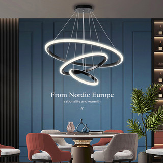 Ceiling light Lampu Ceiling Modern Pendant Lamp Led Rings Circle ...