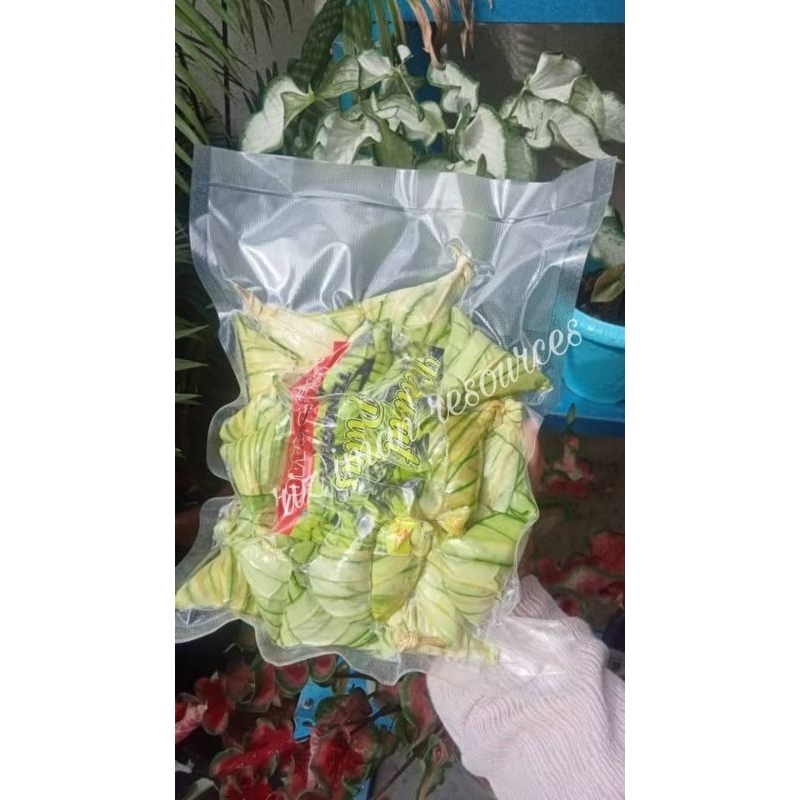 Ketupat Palas Ketupat Palas Frozen Ketupat Vakum Ketupat Pulut Frozen Ketupat Palas Frozen