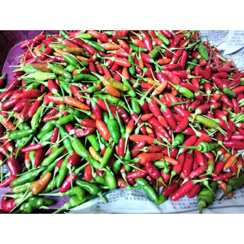 Lada Burung Kampung. / Cili Kampung / 50 g | Shopee Malaysia